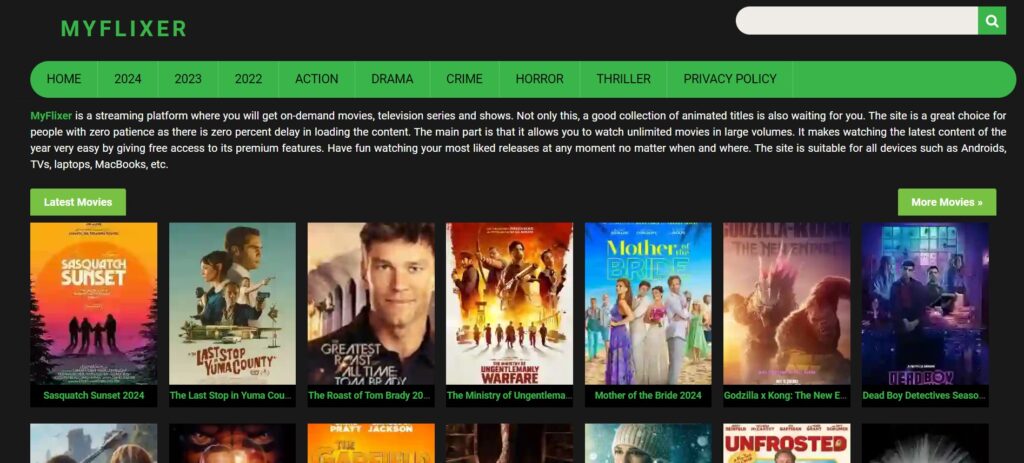 BFlix Review: Your Guide to Stream Movies Online for Free and Top Alternatives | BlueStacks