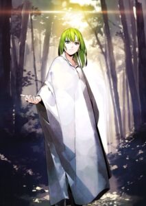 Fate/Grand Order: A Guide for Servants | BlueStacks