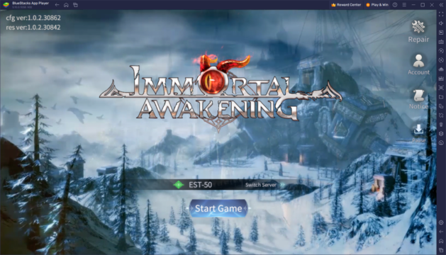 Immortal Awakening Mage Class Guide - Everything You Need to Know About ...