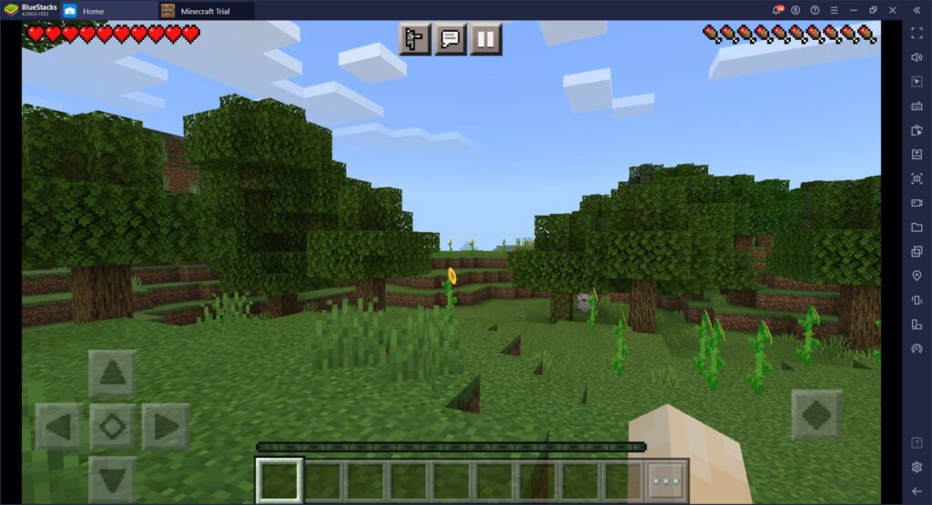 BlueStacks ile Bilgisayarda Nasıl Minecraft Oynanır?