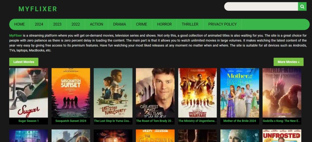 MyFlixer Guide and Review: Features and Alternatives | BlueStacks