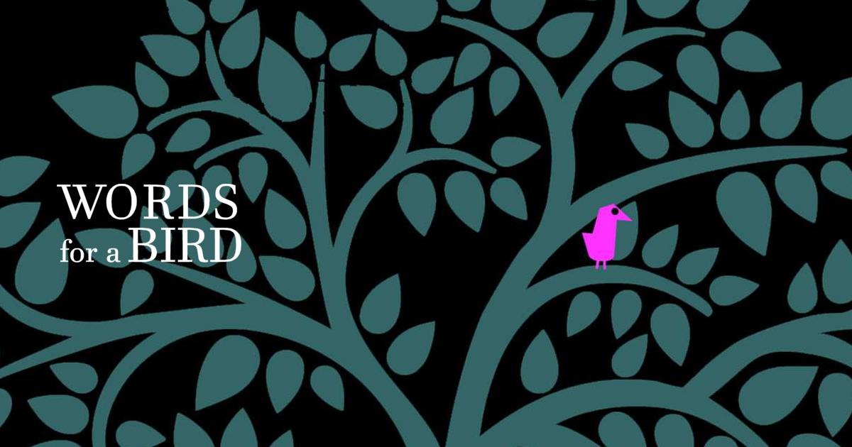 Download & Play Words For A Bird on PC & Mac (Emulator)