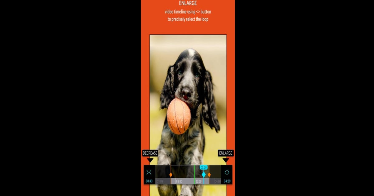 Baixe e rode Looper! Loop Video Player no PC e Mac (emulador)