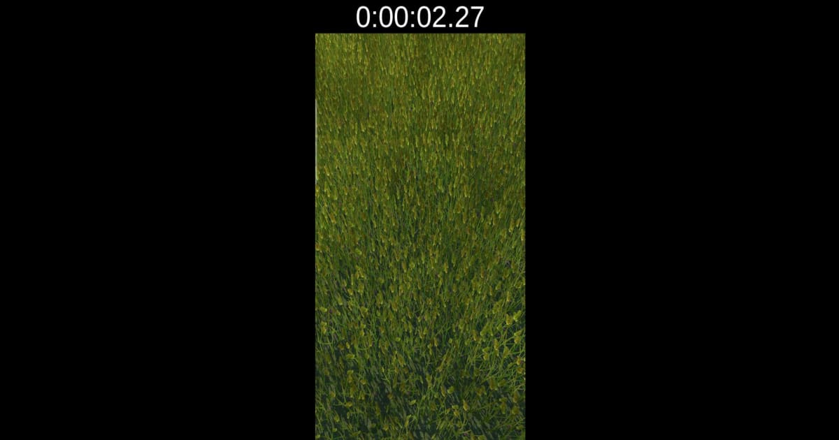 Download & Play Touch Some Grass on PC & Mac (Emulator)