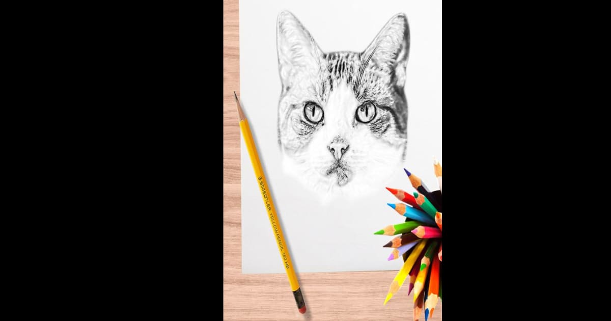 Download and run Cat Drawing App on PC & Mac (Emulator)