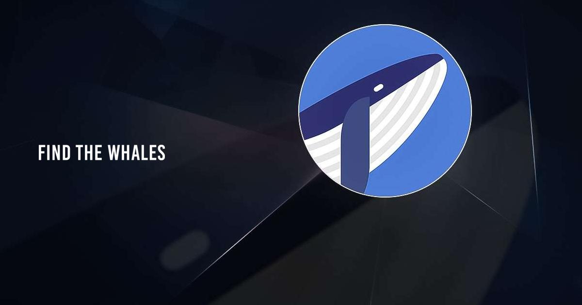 Download & Play Find the Whales on PC & Mac (Emulator)