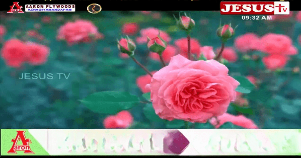 Download and run Jesus TV on PC & Mac (Emulator)