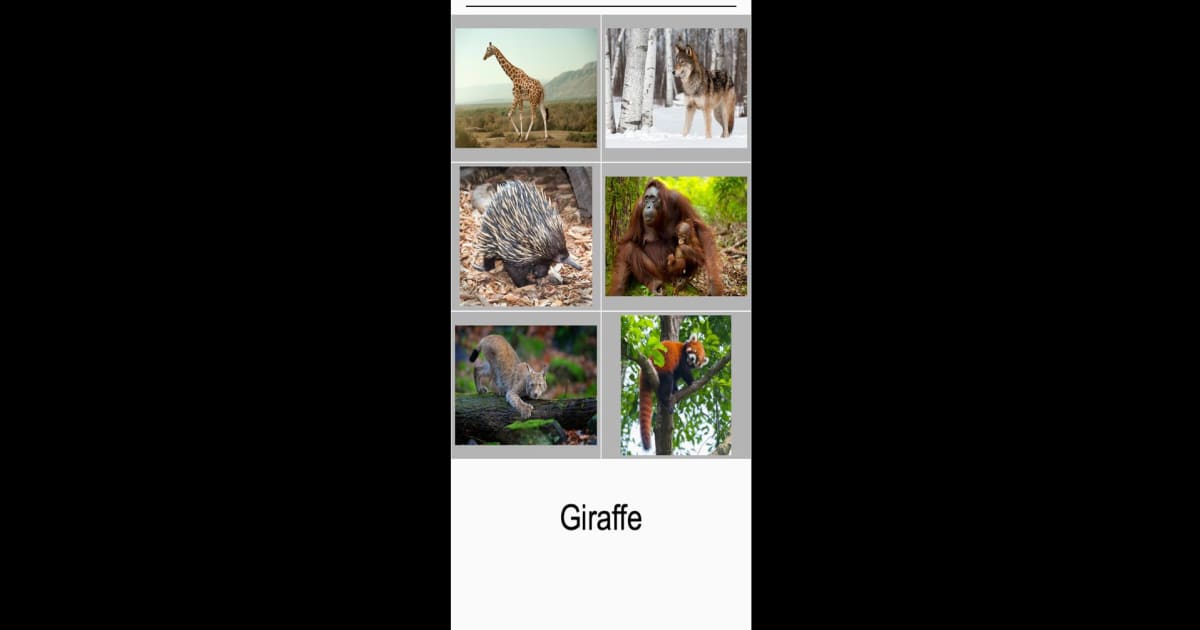 Download & Play Animals Quiz - Learn All Mammals, Birds and more! on PC ...