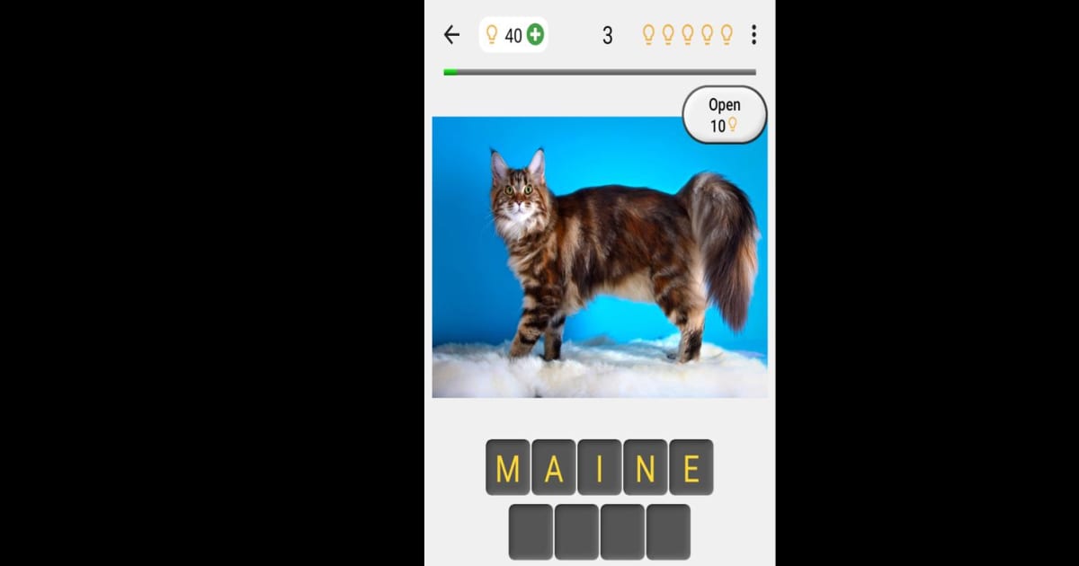 Download & Play Cats Quiz - Guess Photos of All Popular Cat Breeds on ...