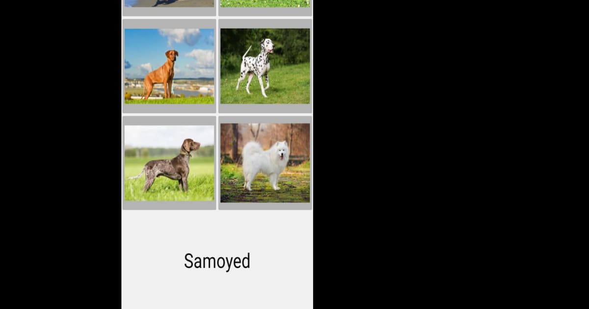 Download & Play Dogs Quiz - Guess Popular Dog Breeds in the Photos on PC & Mac (Emulator)