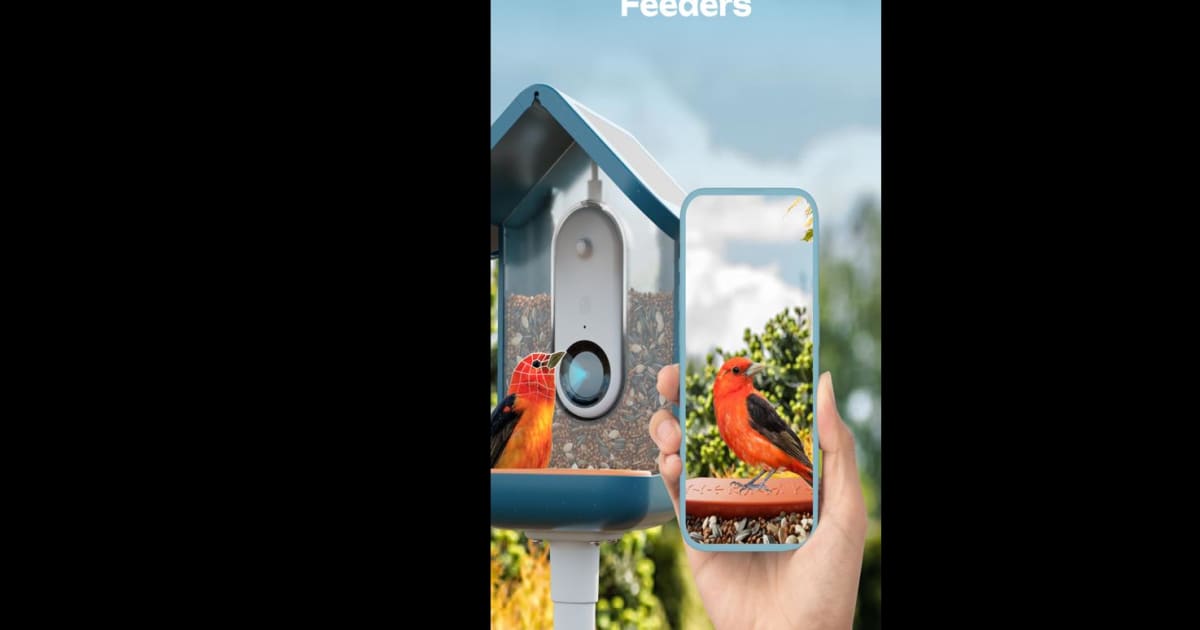 Download and run Bird Buddy: Tap into nature on PC & Mac (Emulator)