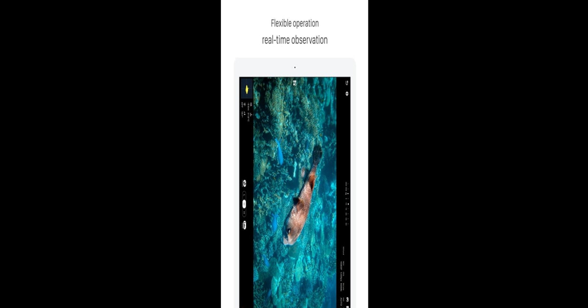Download and run CHASING MINI on PC & Mac (Emulator)