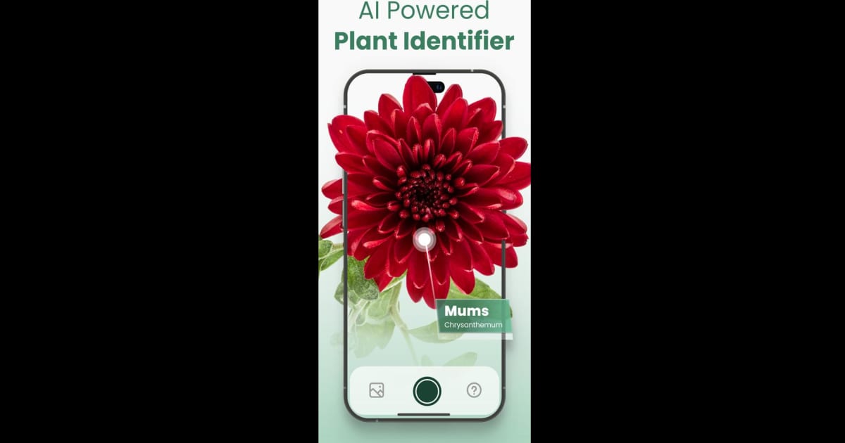 Descarga y ejecuta Plantify Identificador Plantas en PC y Mac (emulador)