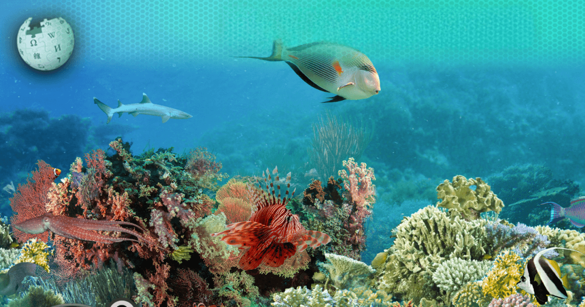 Download & Play Hidden Animals: Photo Hunt - Seek and Find Games on PC ...