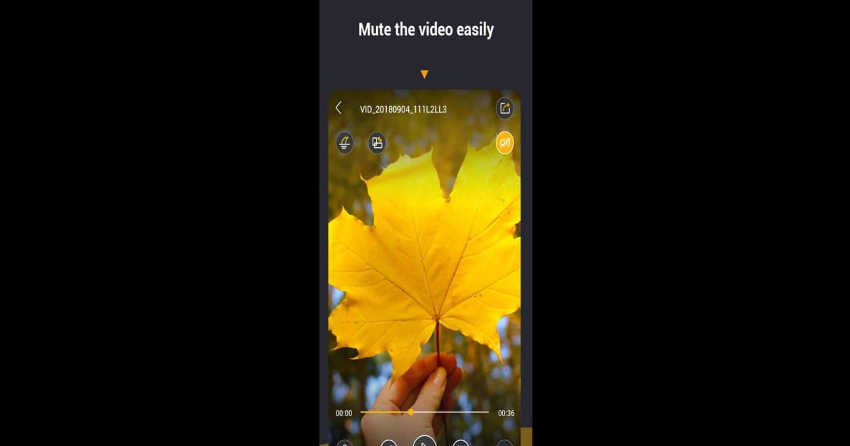 Download and run Video Player & Media Player All Format for Free on PC ...