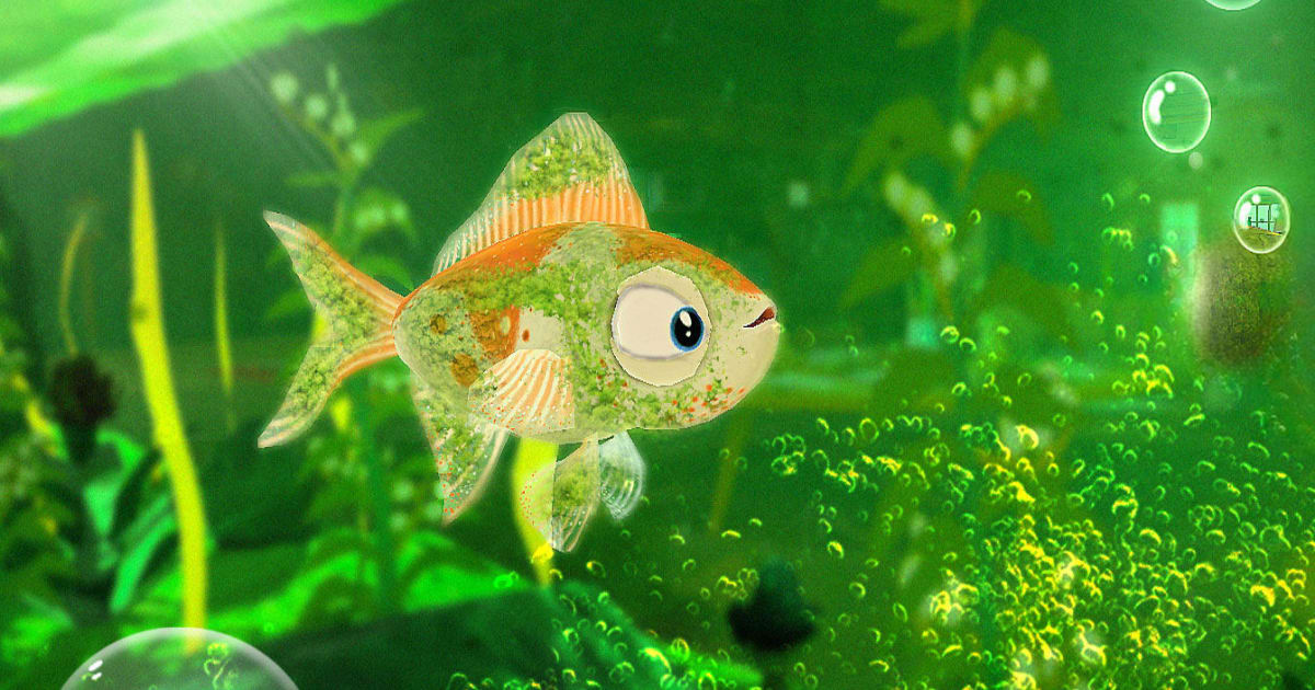 Télécharger et Jouer à aquarium terre mon Fish bol 3d sur PC & Mac ...