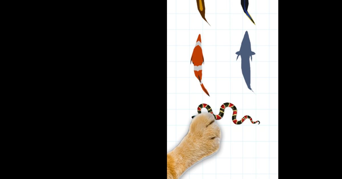 Download & Play For cat - catch the fish 3D on PC & Mac (Emulator)