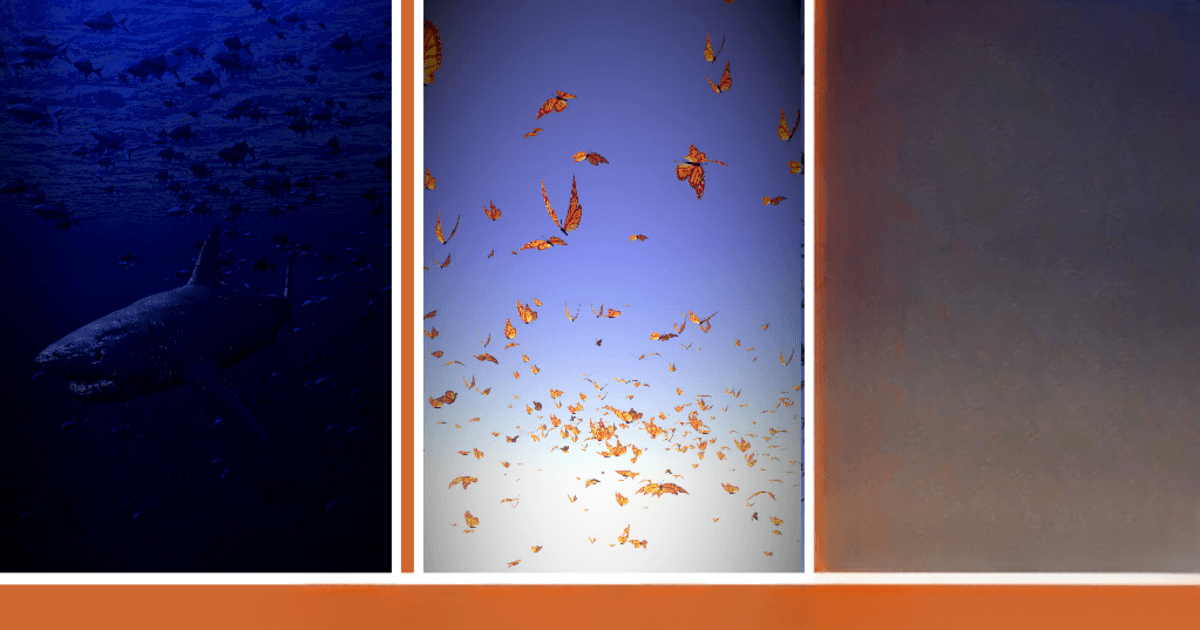 Download & Play Antistress, Relaxing, Stress/Anxiety Relief Games on PC ...