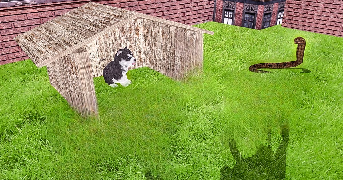 Download & Play Dog Simulator Games Free Offline 2020 Sheep Dog on PC ...