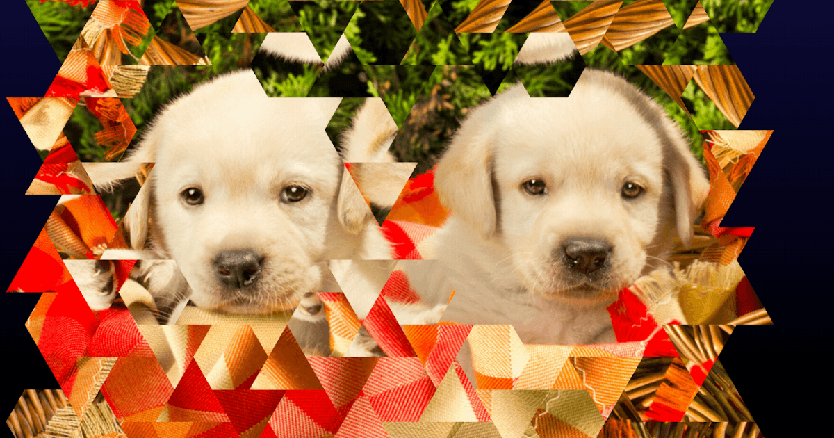 Download & Play Tile Twist World on PC & Mac (Emulator)