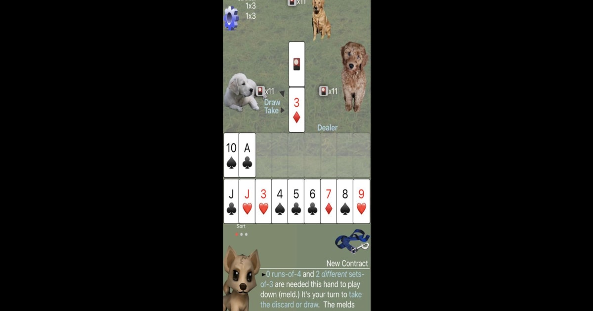 Download & Play K9 Shanghai Rum: Multiplayer Rummy Card Game on PC ...