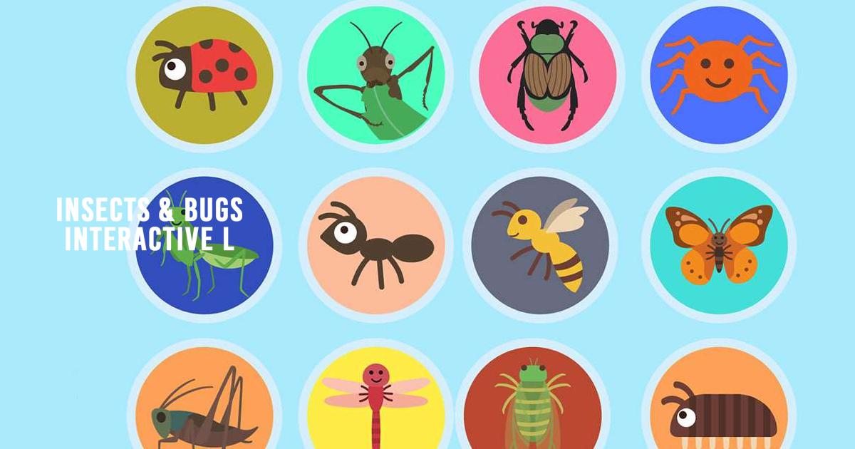 Download and play Insects & Bugs – Interactive L on PC & Mac (Emulator)