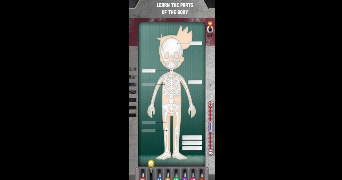 Download and run How does The Human Body Work? on PC & Mac (Emulator)