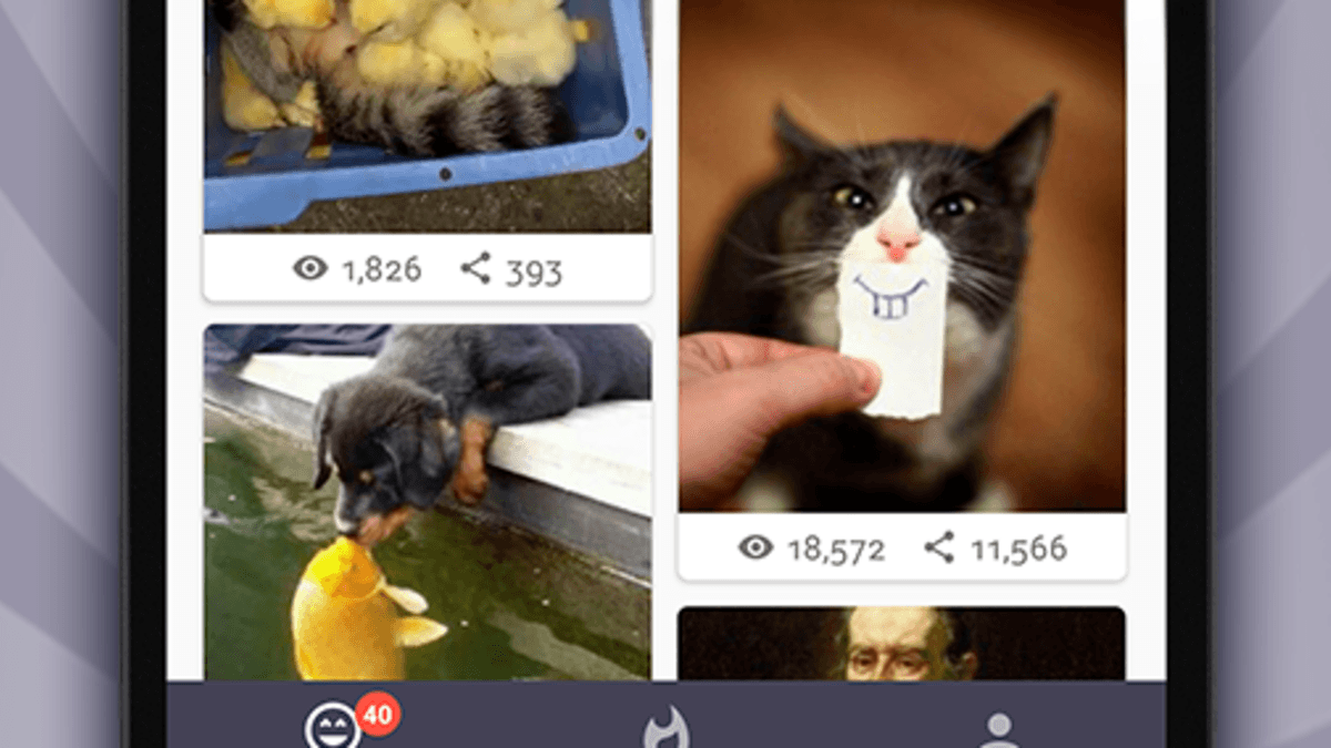 Download and run Funny Pictures & Videos on PC & Mac (Emulator)