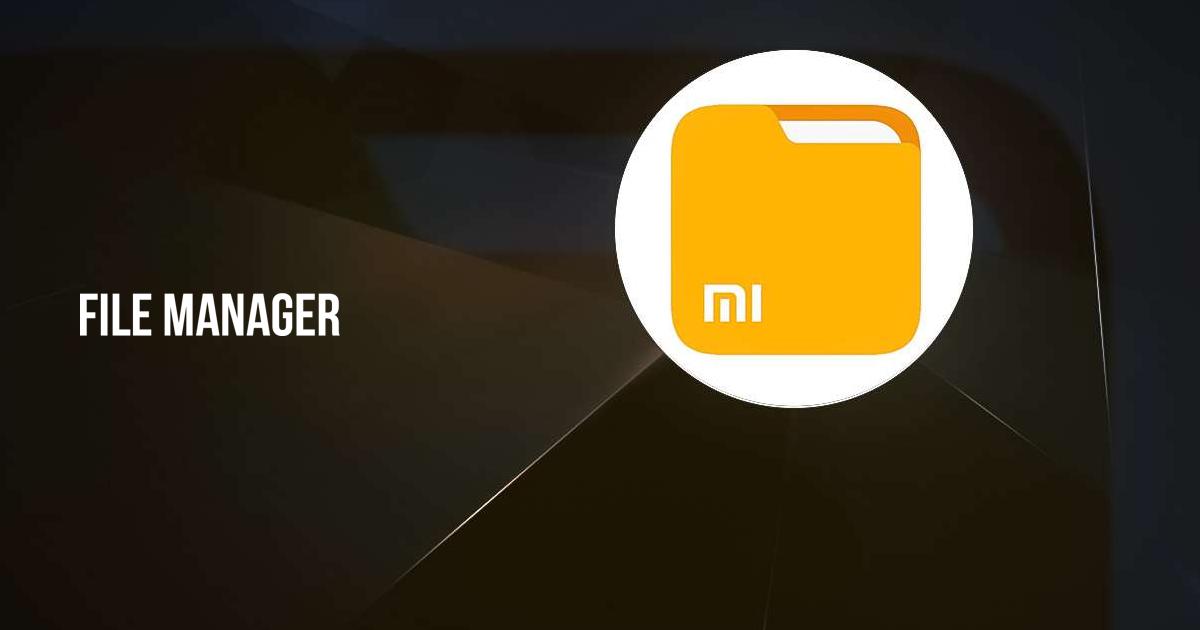 Download and run File Manager on PC & Mac (Emulator)