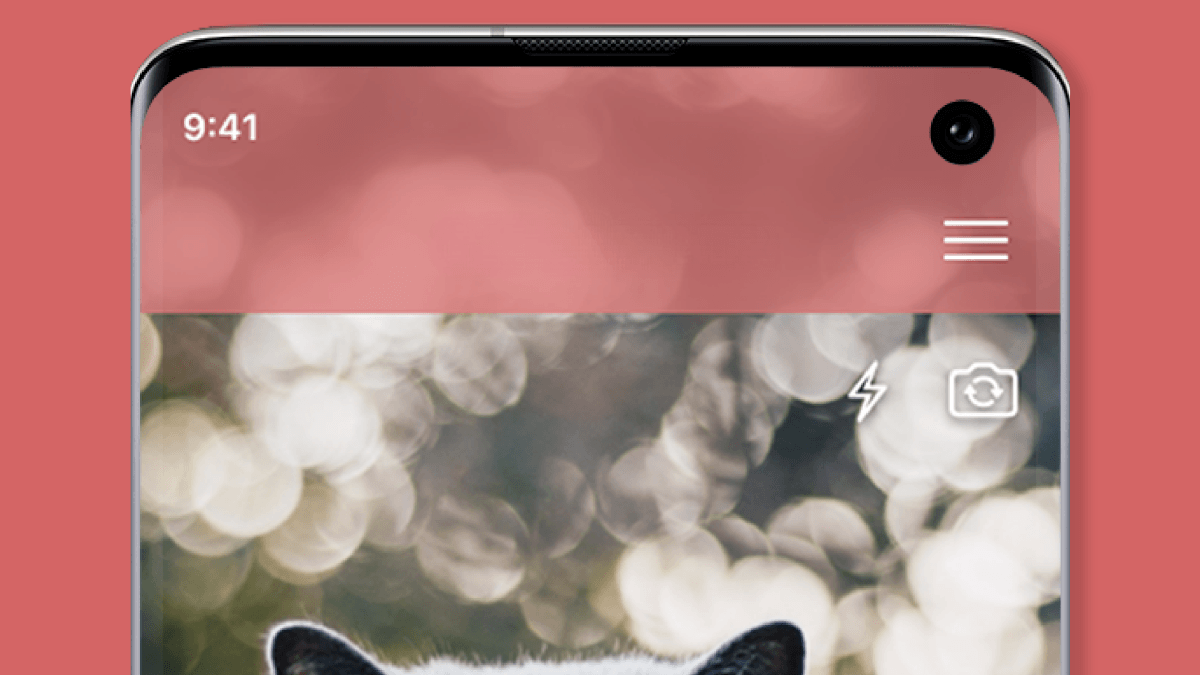 Download and run Cat Scanner: Breed Recognition on PC & Mac (Emulator)