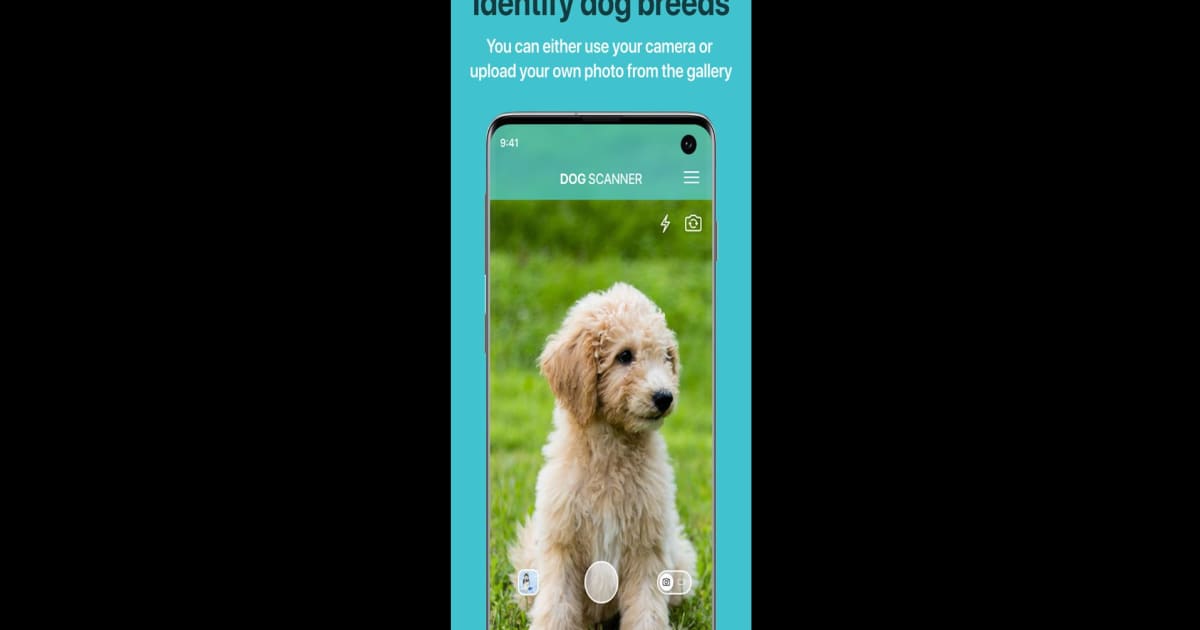 Download and run Dog Scanner: Breed Recognition on PC & Mac (Emulator)