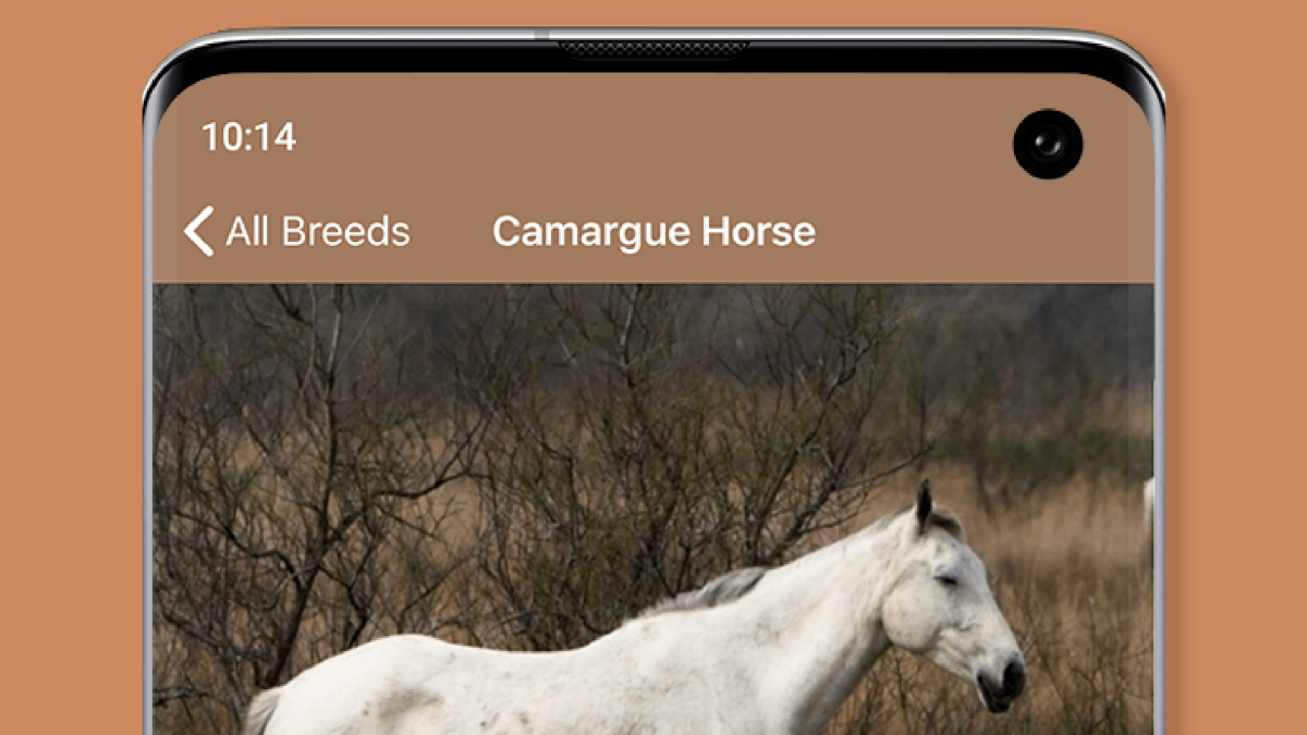 Download and run Horse Scanner - #1 Horse Breed Identification on PC ...