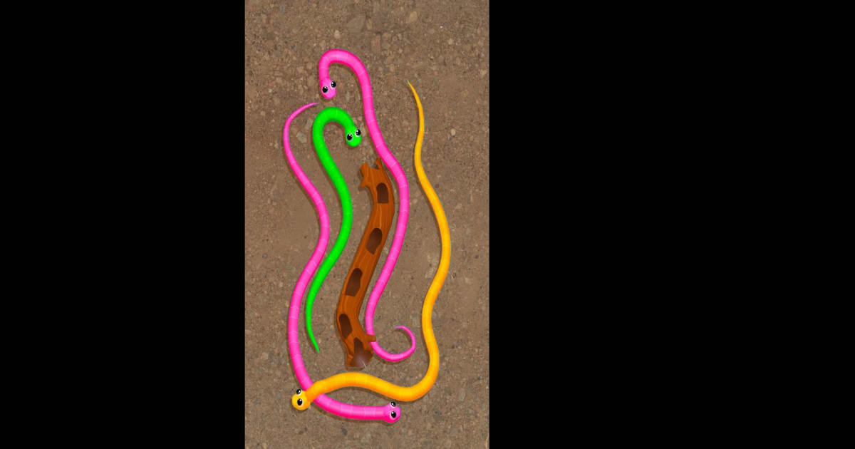 Download & Play Snake Knot: Sort Puzzle Game on PC & Mac (Emulator)