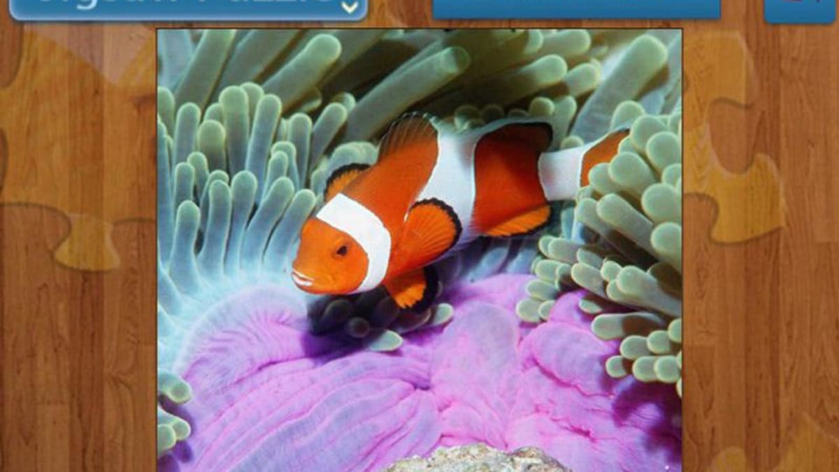 Download & Play Sea Life Jigsaw Puzzles on PC & Mac (Emulator)