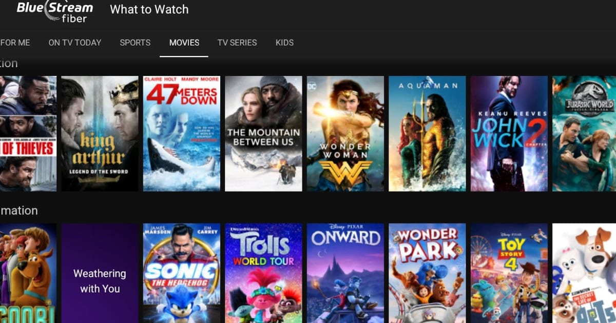 Download and run Blue Stream Fiber TV on PC & Mac (Emulator)