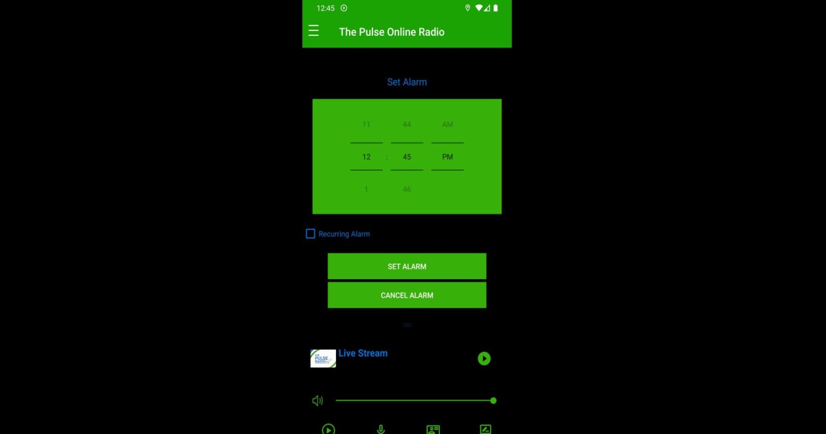 Download and run The Pulse Online Radio on PC & Mac (Emulator)