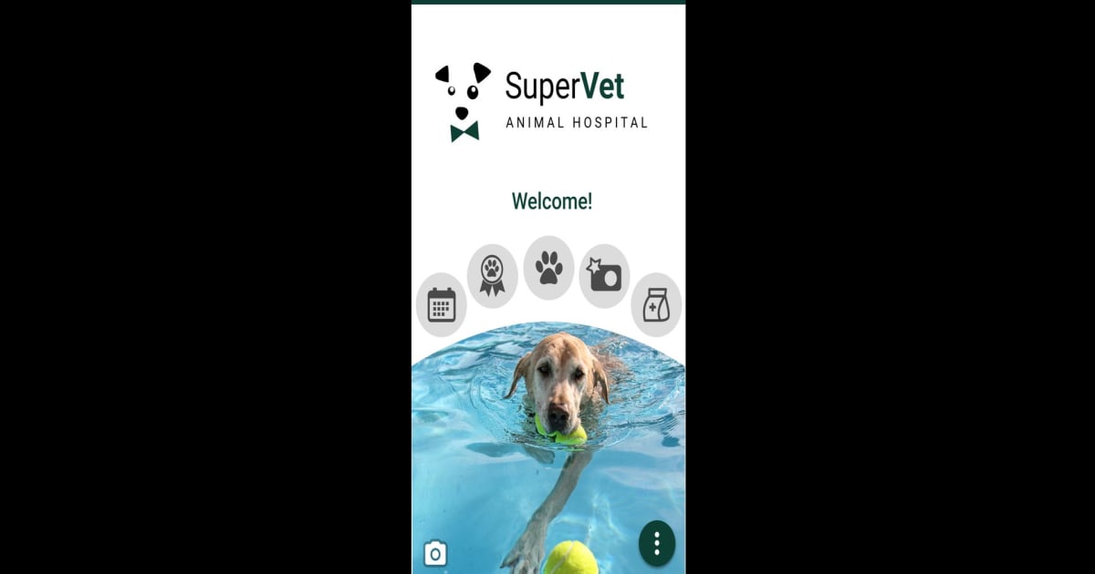 Download and run Vet2Pet on PC & Mac (Emulator)