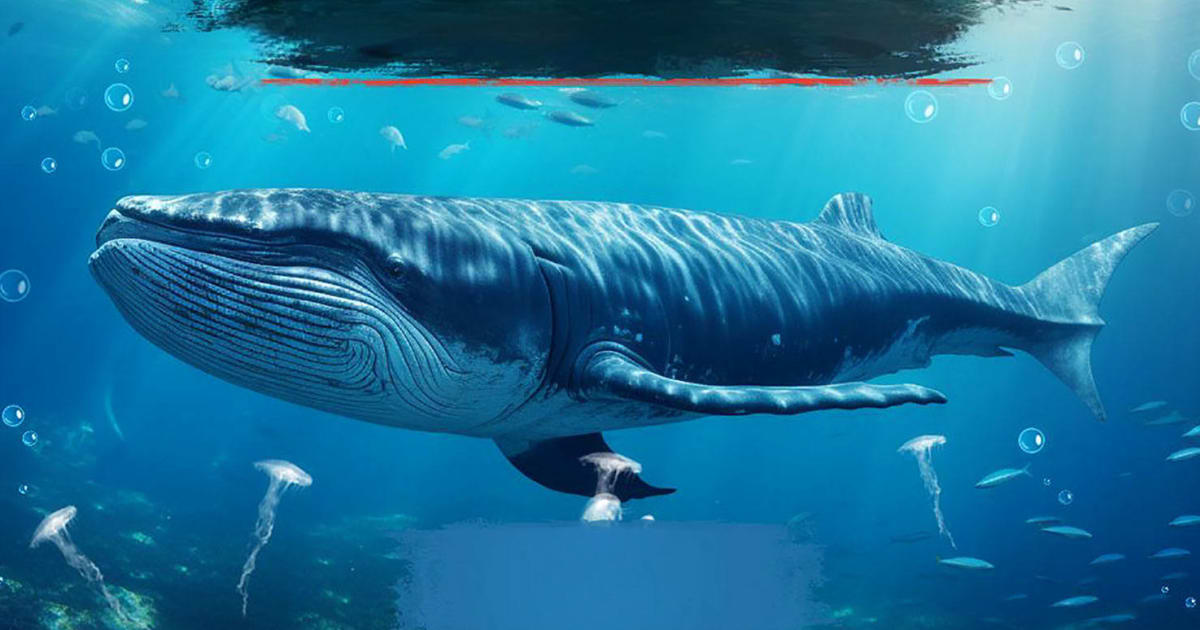 Download & Play The Blue Whale on PC & Mac (Emulator)