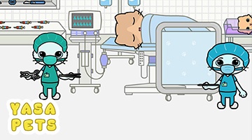 Download & Play Yasa Pets Island on PC & Mac (Emulator)