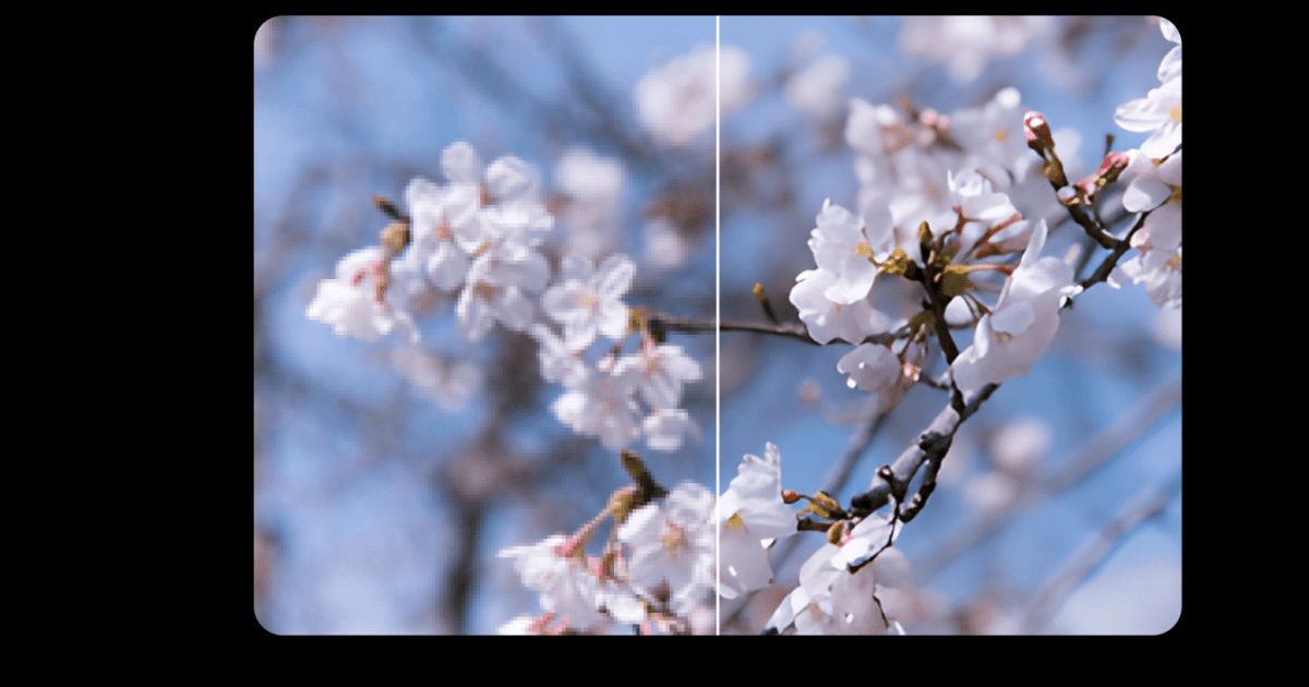 Descarga y ejecuta SuperImage - AI Enhancer en PC y Mac (emulador)