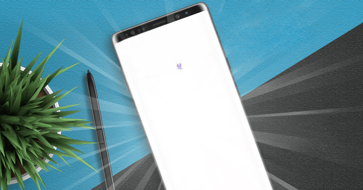 Download and run White Screen Flashlight on PC & Mac (Emulator)