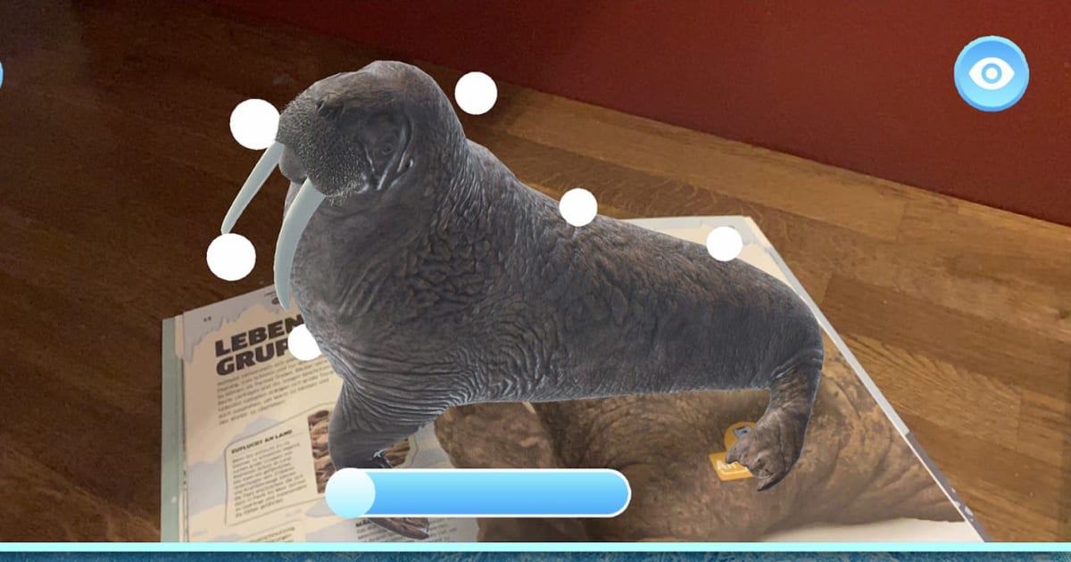 Download and run EIS-AR on PC & Mac (Emulator)