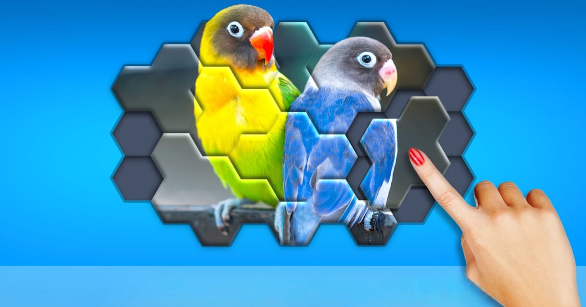 Download & Play Hexa Jigsaw Puzzle ® on PC & Mac (Emulator)