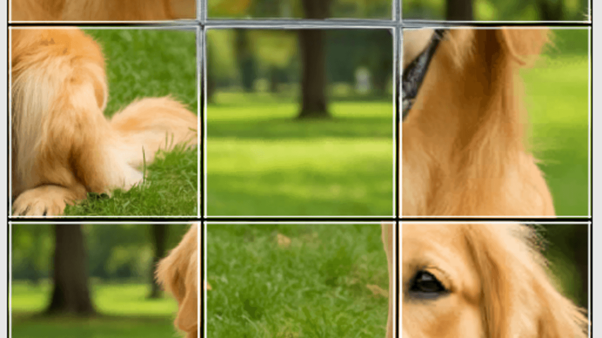 Download & Play Zoom Sort on PC & Mac (Emulator)