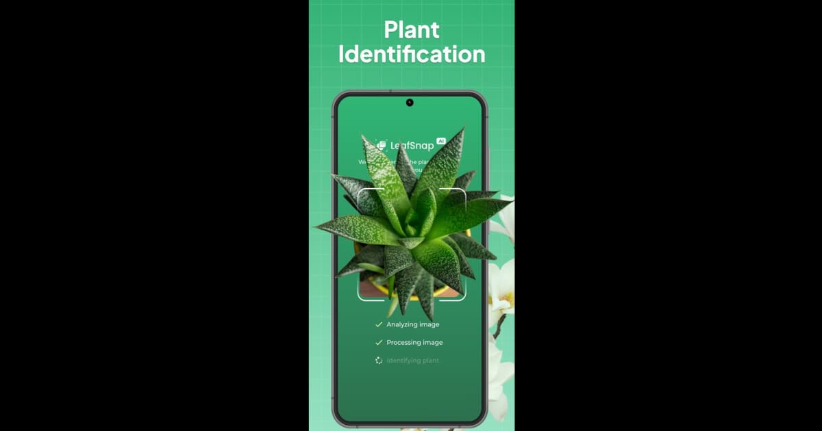 Download and run LeafSnap Plant Identification on PC & Mac (Emulator)