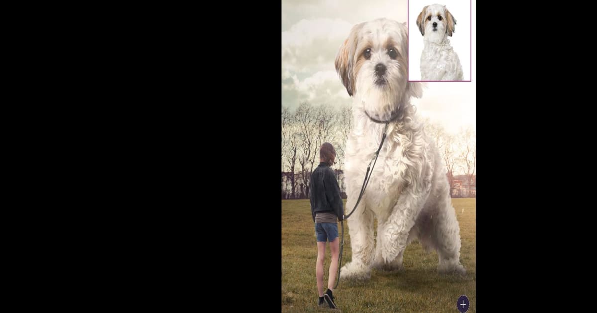 Download and run Pixomatic photo editor on PC & Mac (Emulator)